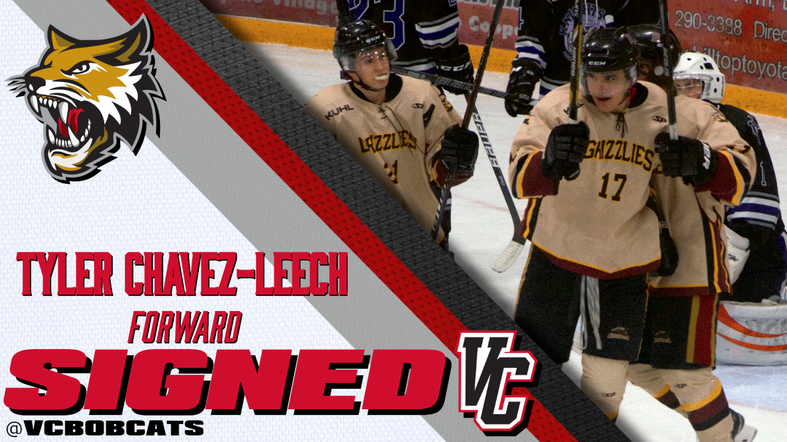 Bobcats ink Tyler Chavez-Leech to Main Camp contract | Pro Hockey News