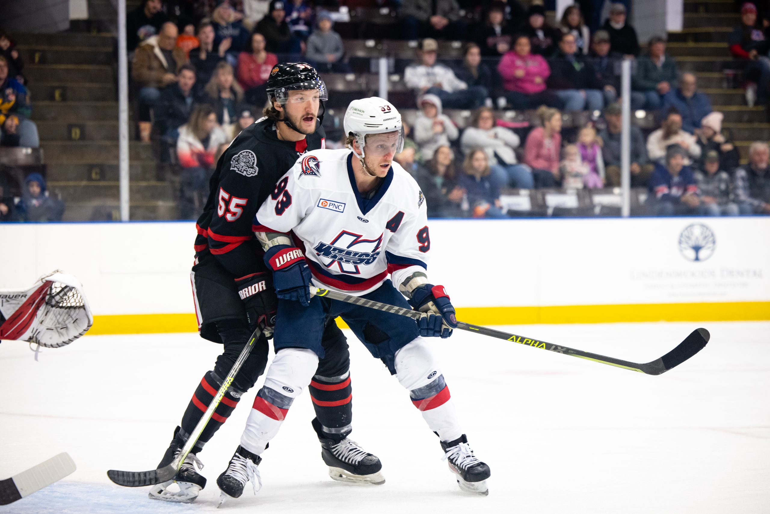 Justin Taylor’s Historic K-Wings Journey | Pro Hockey News