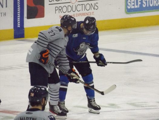 PHN’s Best Shots of the Game: Swamp Rabbits take series lead with 4-1 ...